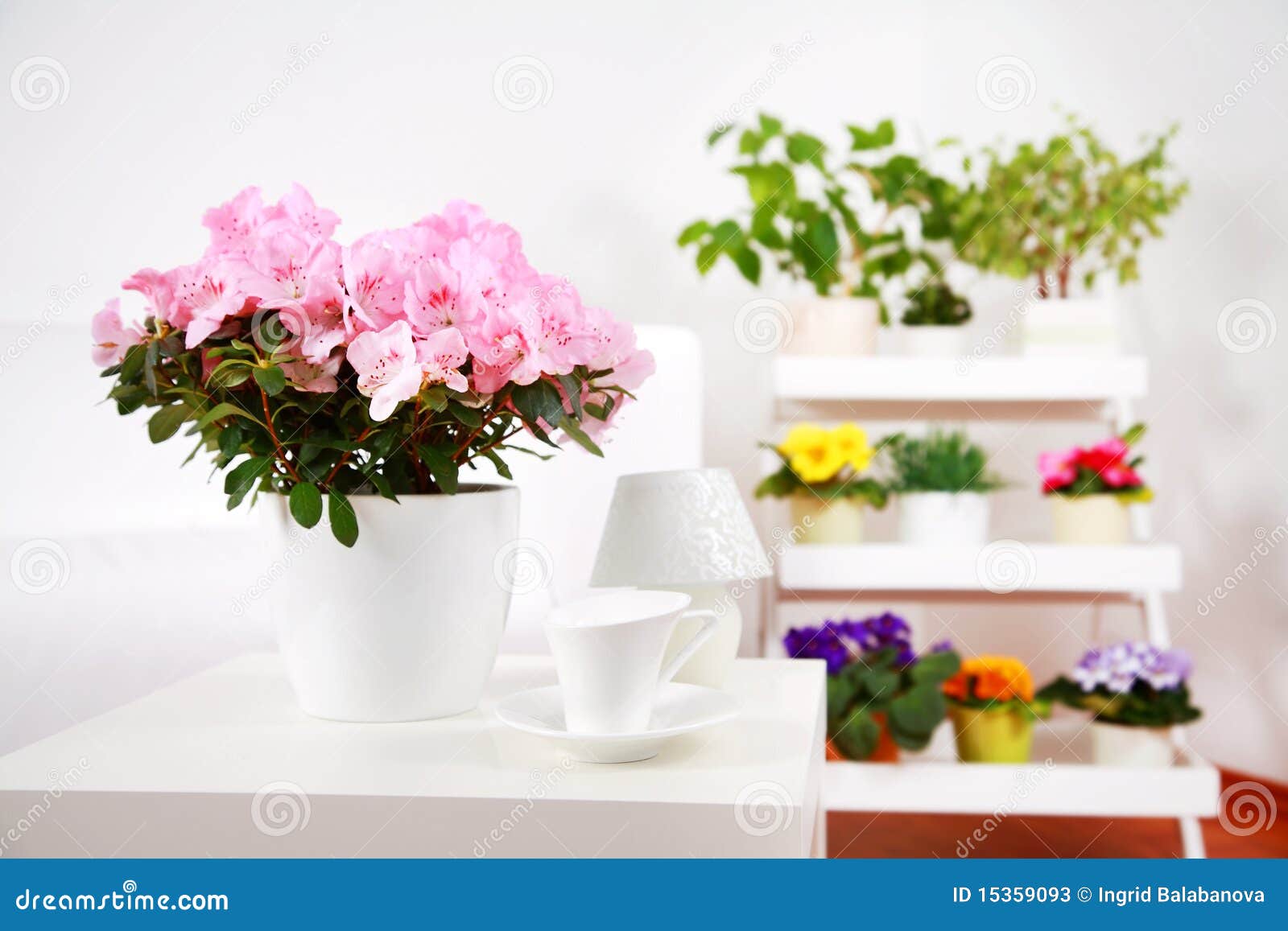 Flowers in interior stock image. Image of inside, bunch - 15359093