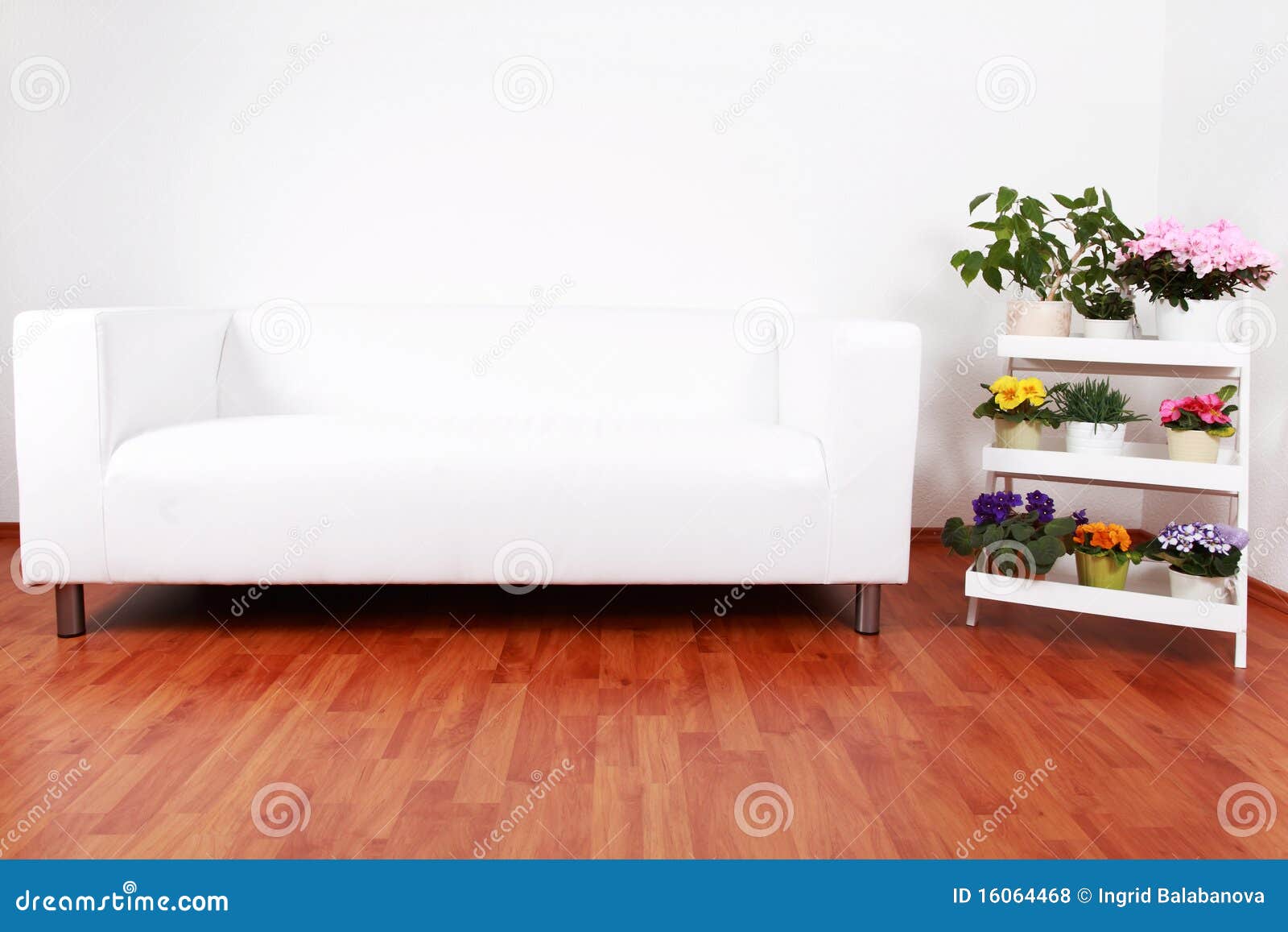 Flowers in interior stock photo. Image of detail, green - 16064468