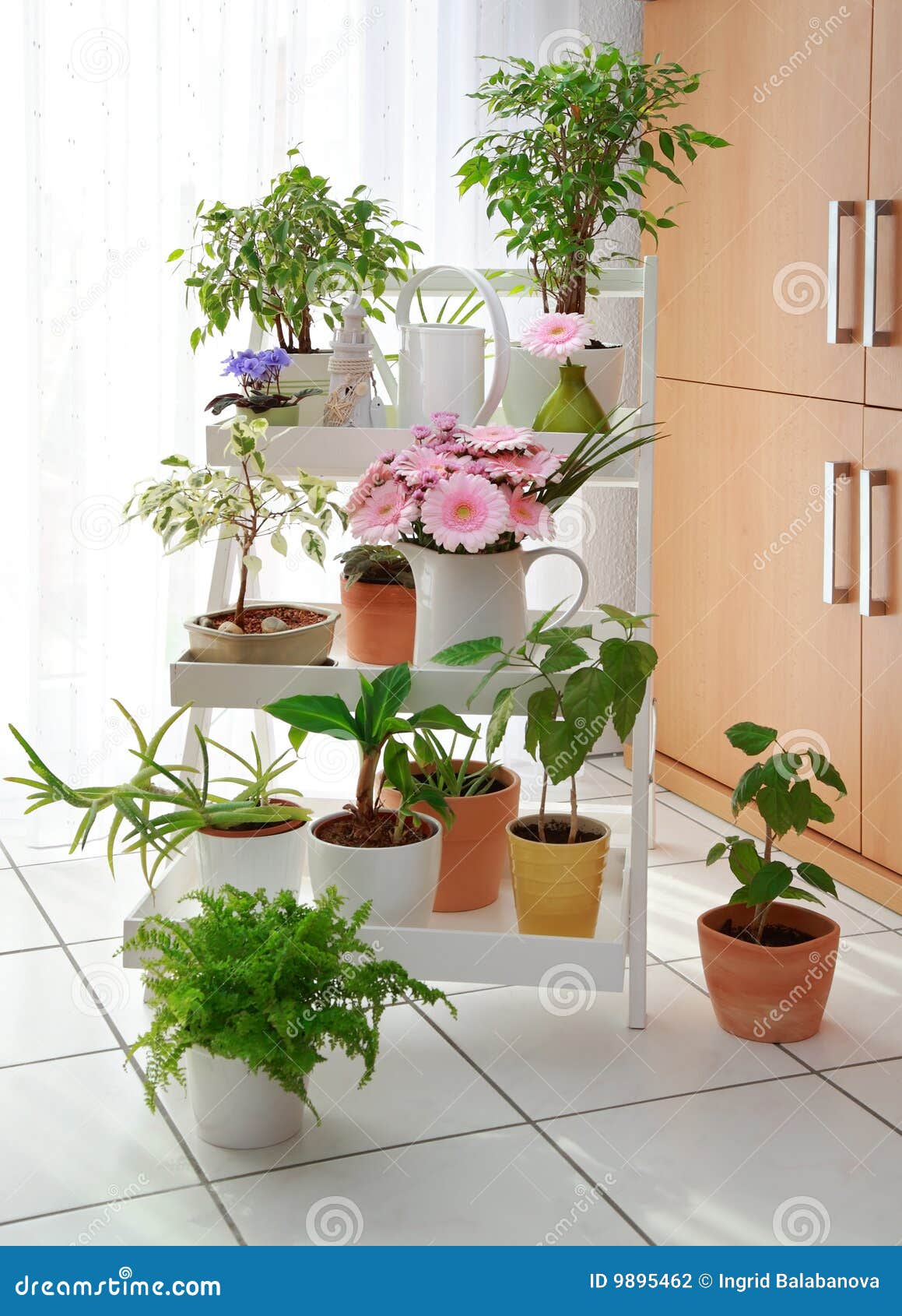 Flowers in interior stock photo. Image of vase, botanical - 9895462