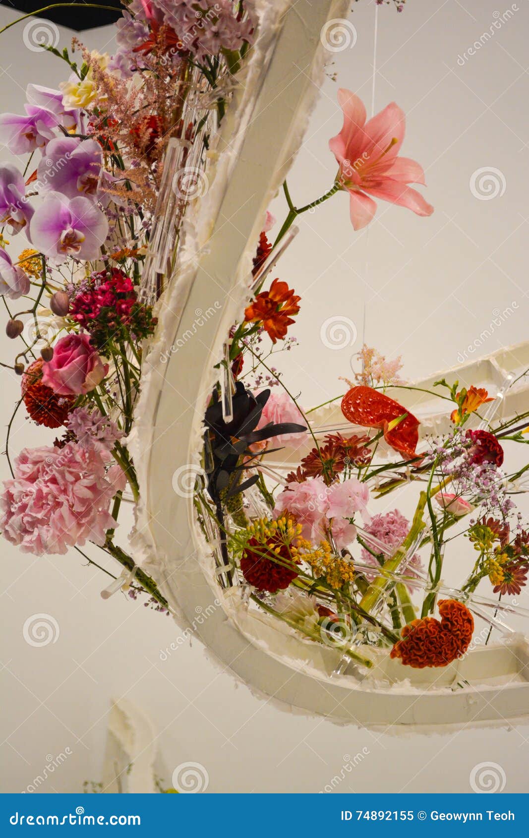 Flowers ladder stock image. Image of glass, holiday, cute - 74892155