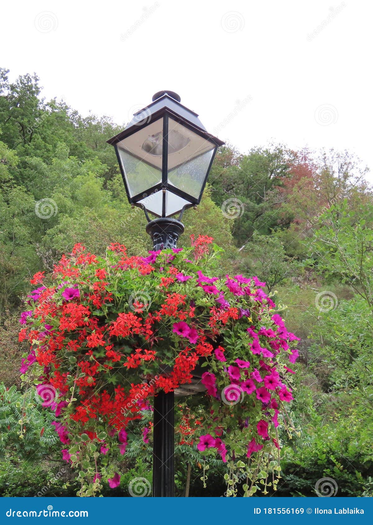 Flowers on lamp post stock image. Image of trees, post - 181556169