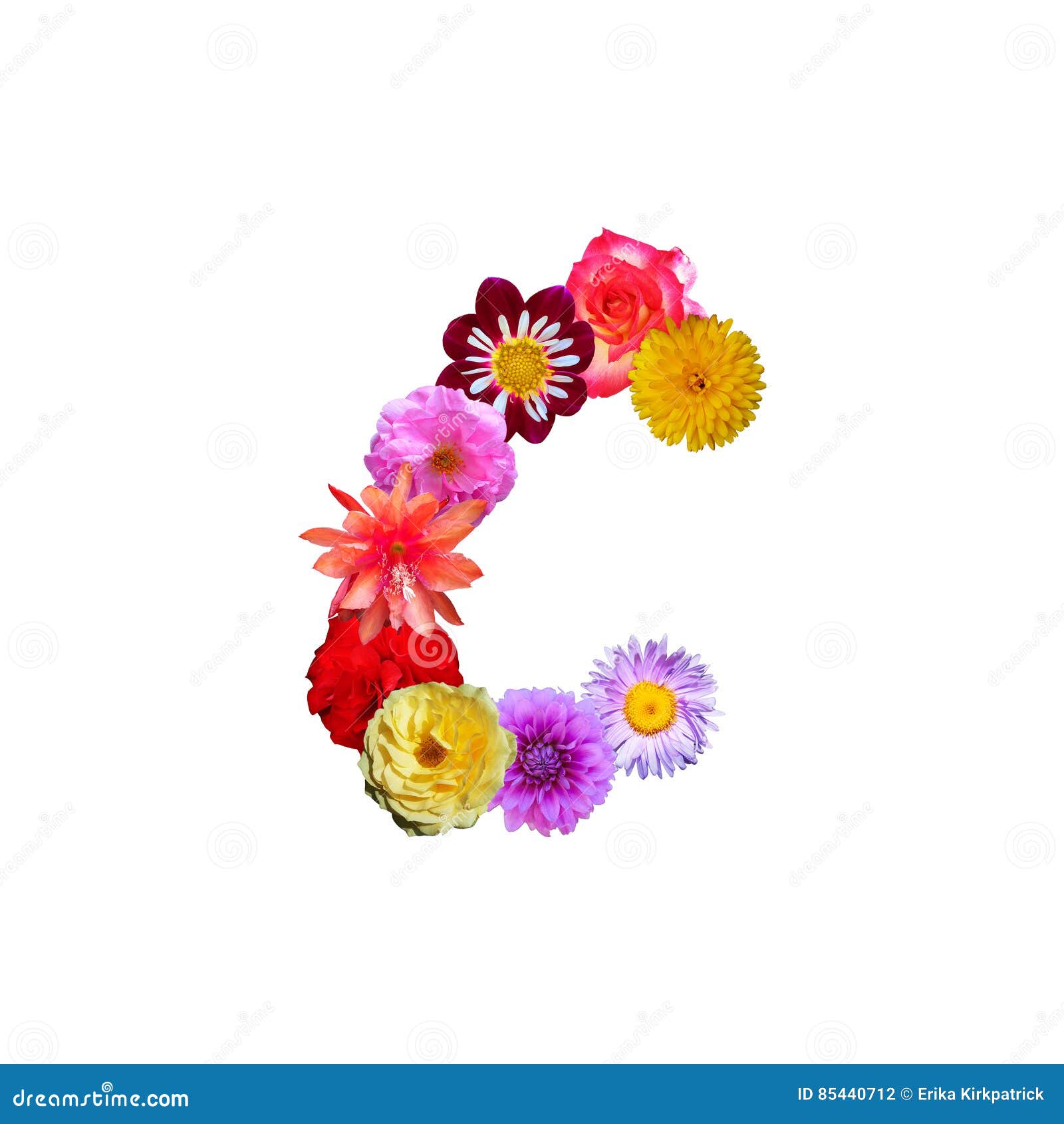 Flowers Letter C stock illustration. Illustration of leaf - 85440712