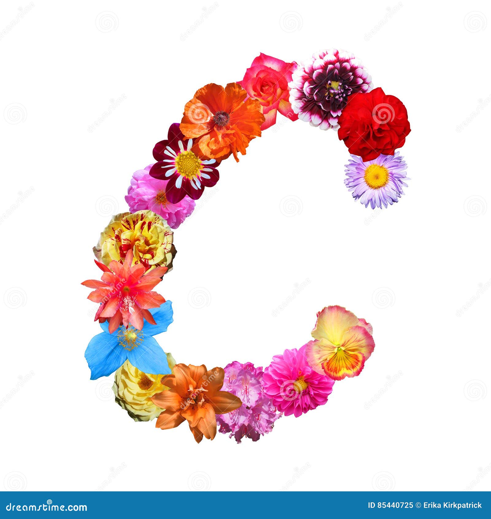 Flowers Letter C stock illustration. Illustration of floral - 85440725