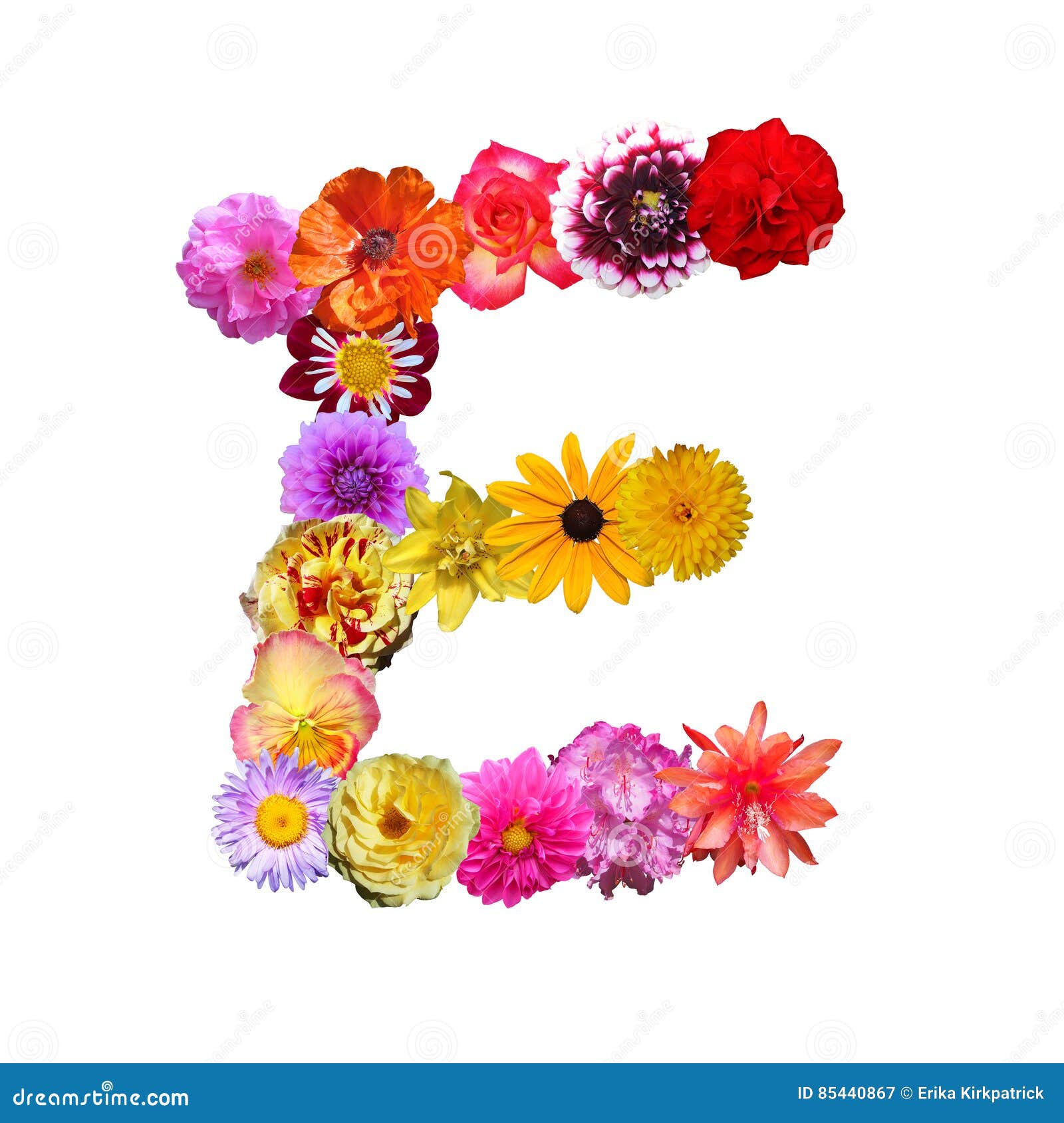 Flowers Letter E stock illustration. Illustration of customize - 85440867