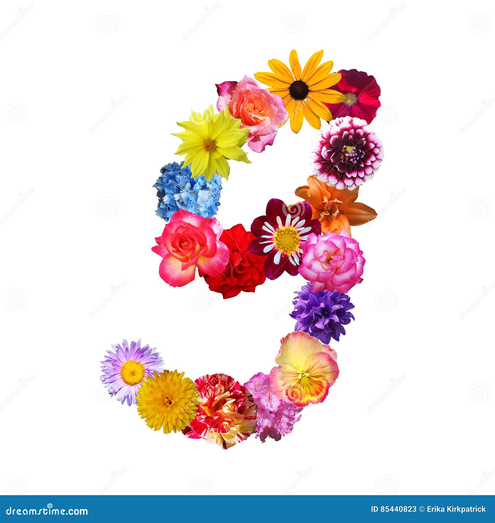 Flowers Letter G stock illustration. Illustration of baby - 85440823