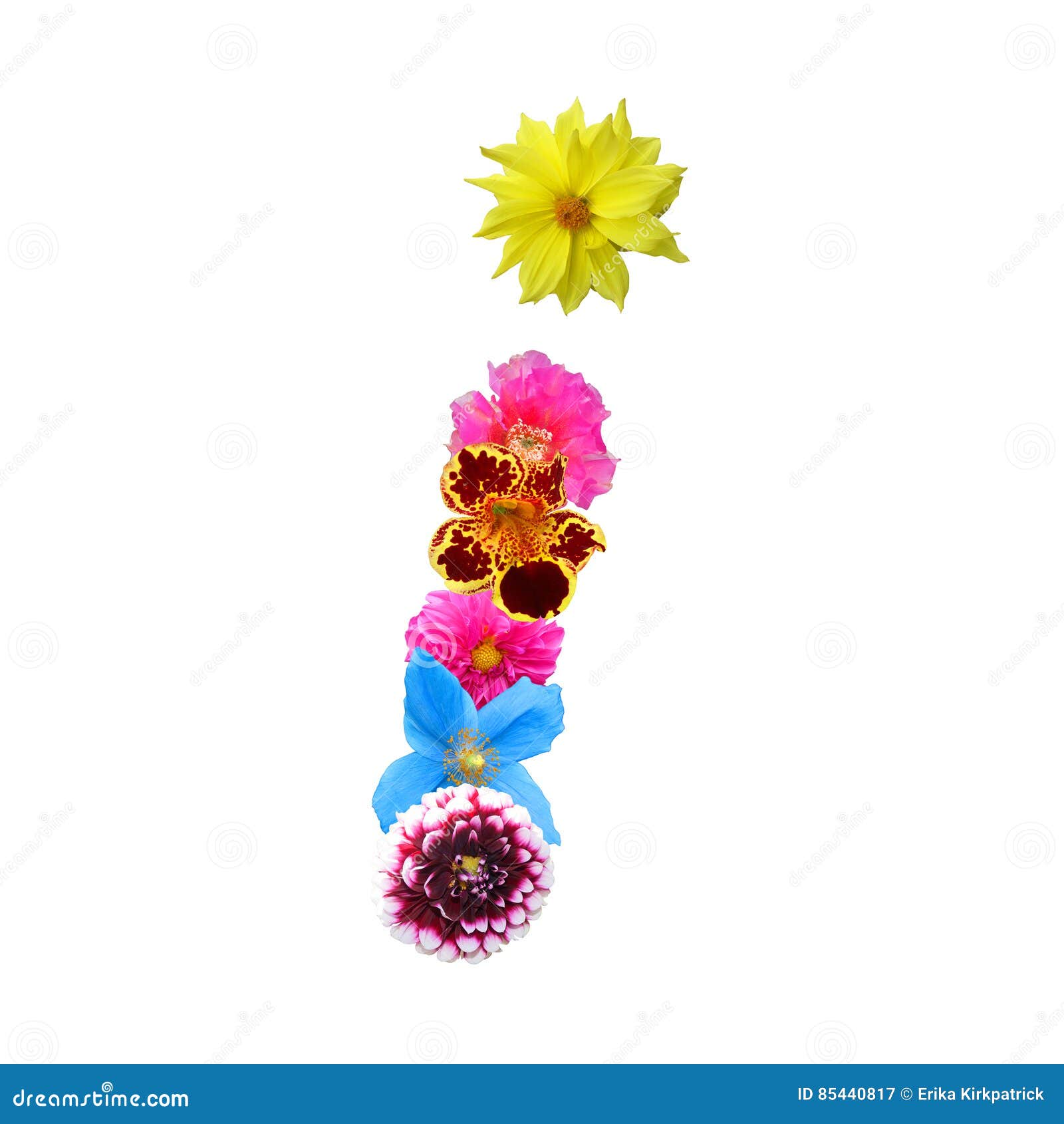 Flowers Letter I stock illustration. Illustration of design - 85440817
