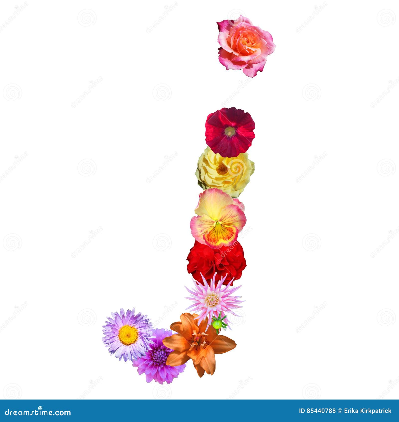 Flowers Letter J stock illustration. Illustration of garden - 85440788