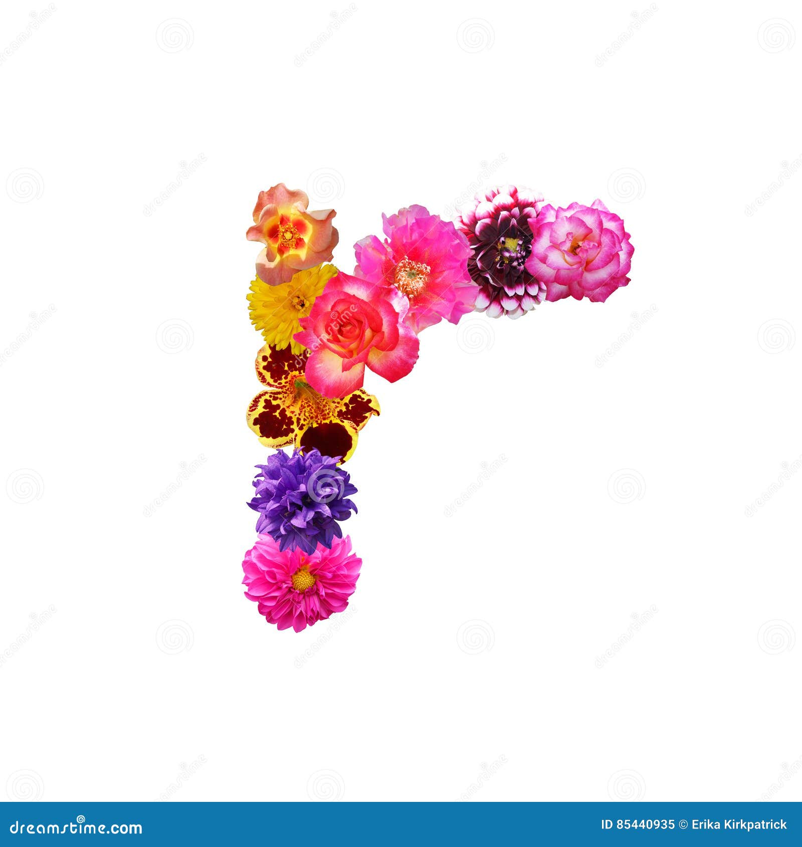 Flowers Letter R stock image. Image of baby, banner, garden - 85440935