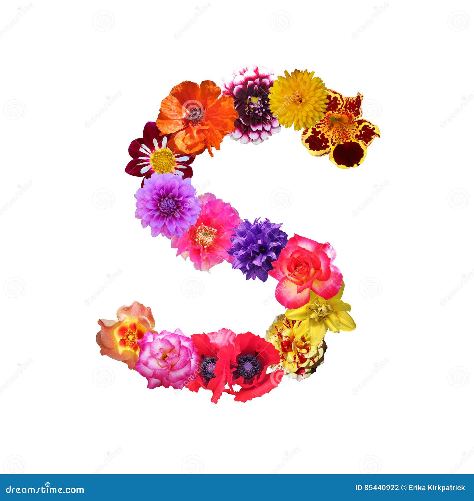 Flowers Letter S stock illustration. Illustration of flora - 85440922
