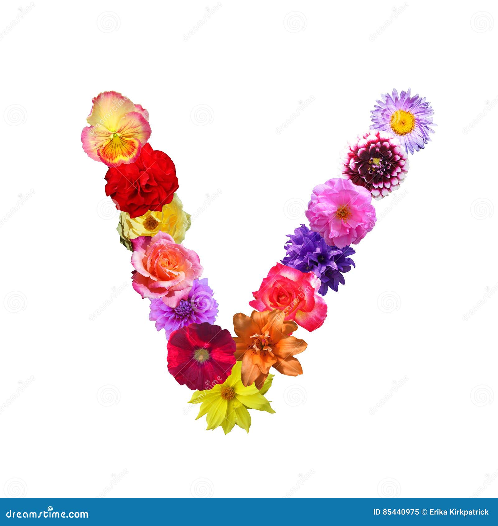 Flowers Letter V stock illustration. Illustration of baby - 85440975