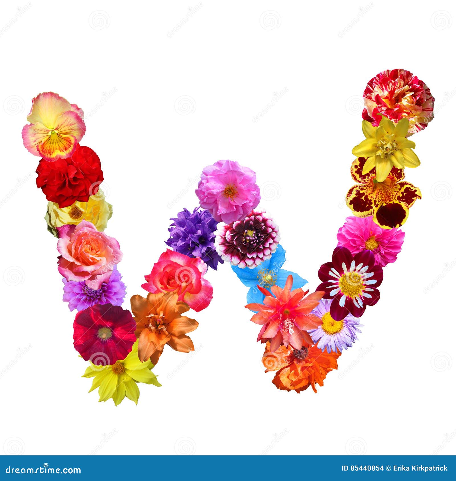 Flowers Letter W stock illustration. Illustration of natural - 85440854