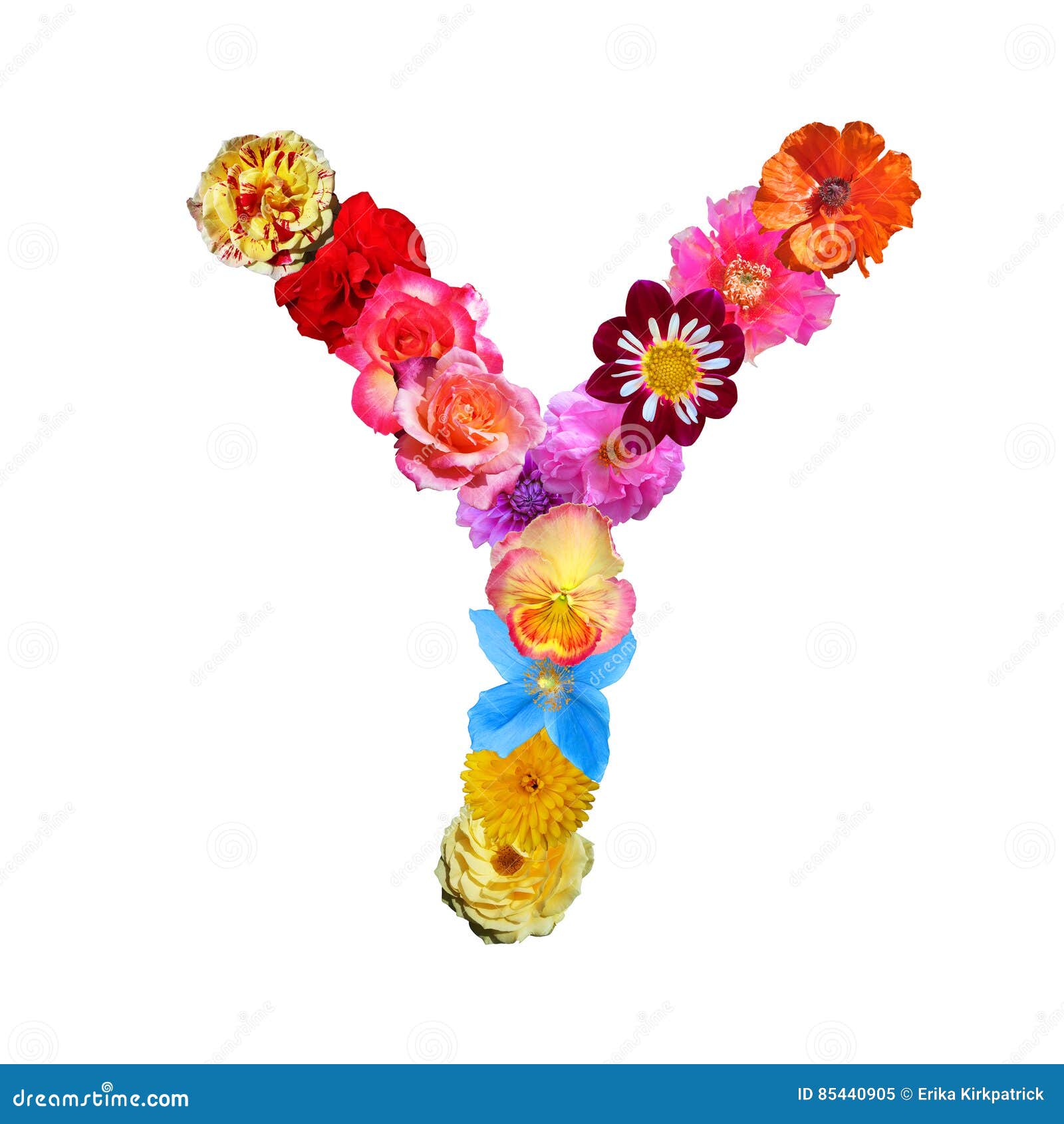 Flowers Letter Y stock illustration. Illustration of baby - 85440905