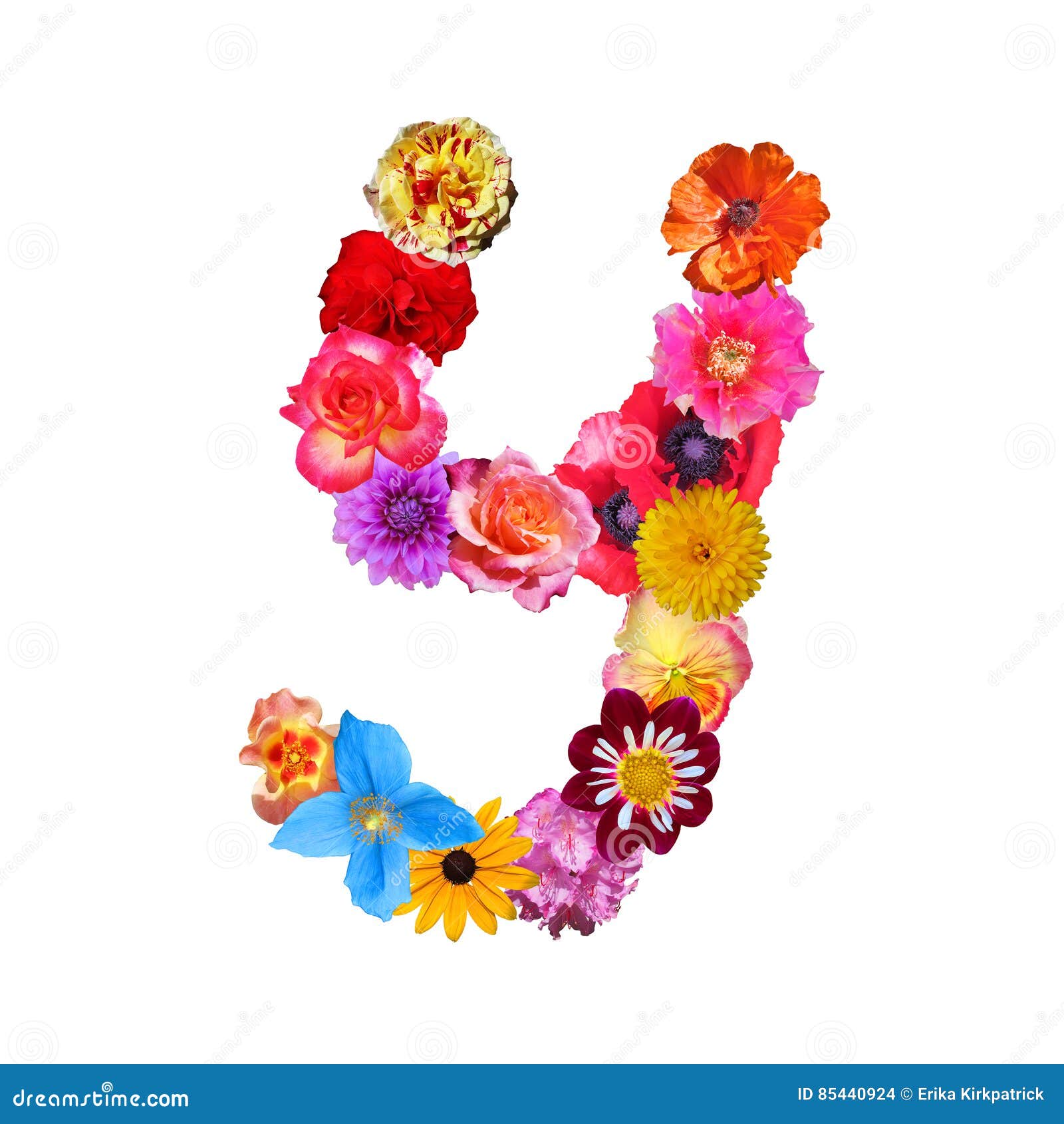 Flowers Letter Y stock illustration. Illustration of custom - 85440924