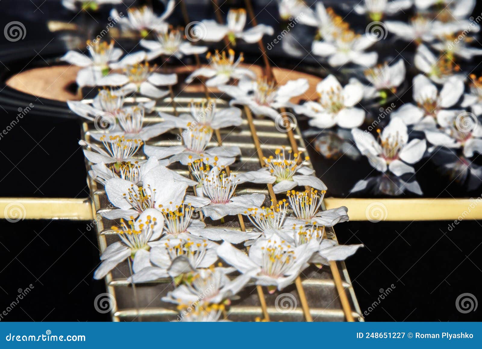 Flowers Lie on the Guitar. Decorated Guitar Strings Stock Image - Image ...
