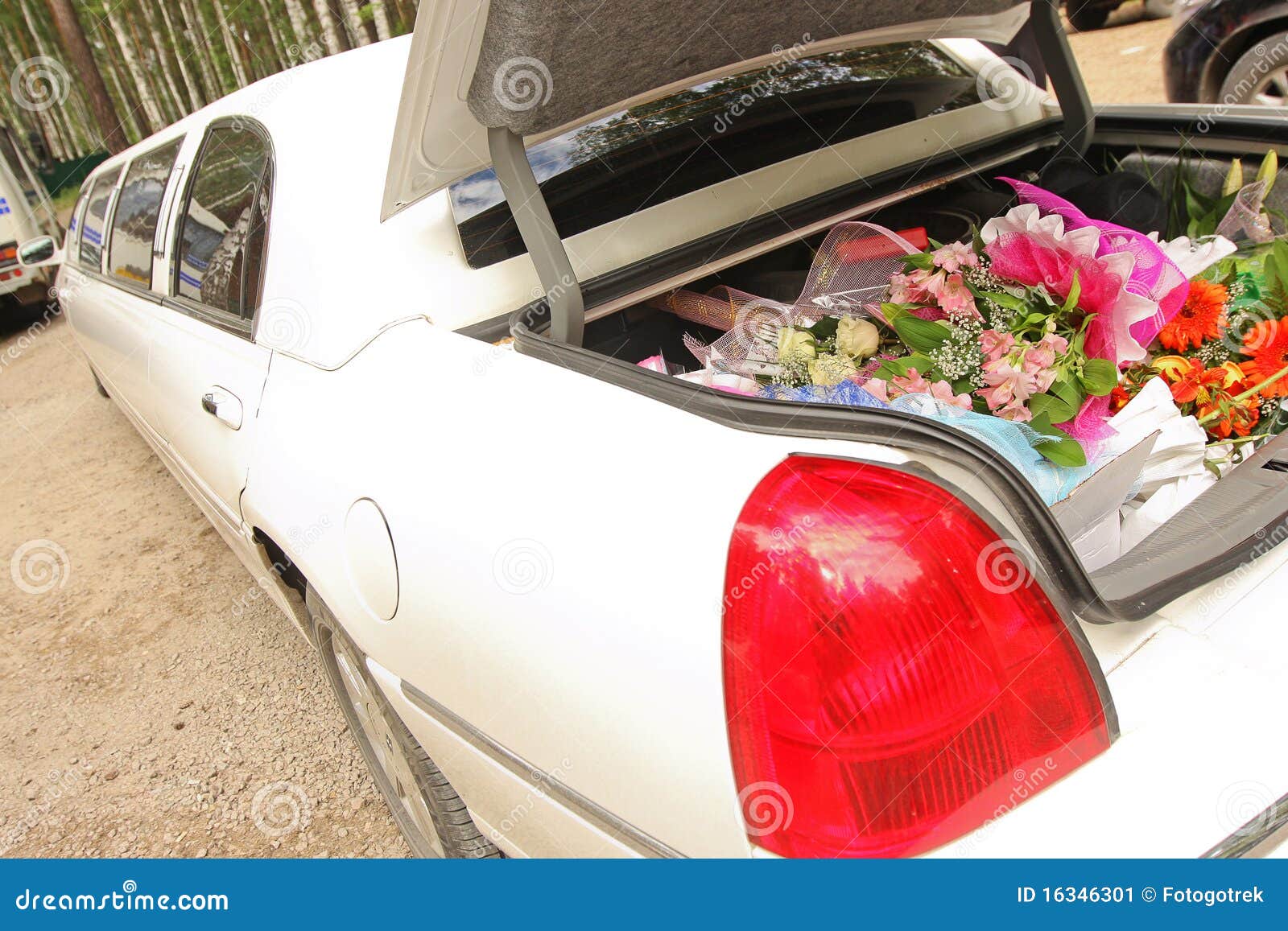 Flowers in limousine stock image. Image of limousine - 16346301