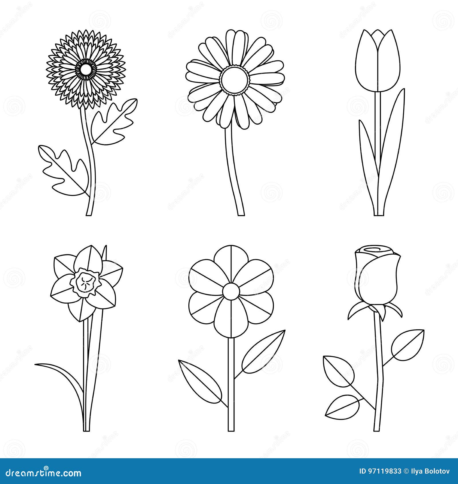 Flowers line drawings stock vector. Illustration of fresh - 97119833
