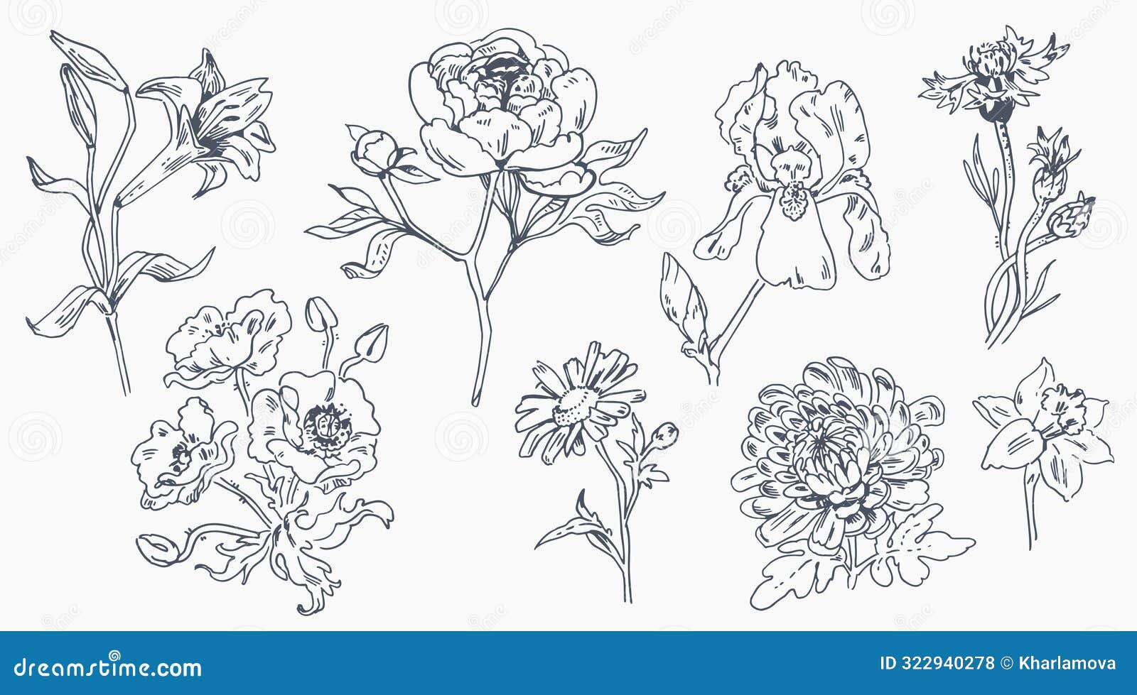 Flowers. Linear Drawing. Isolated on White Background Stock Vector ...