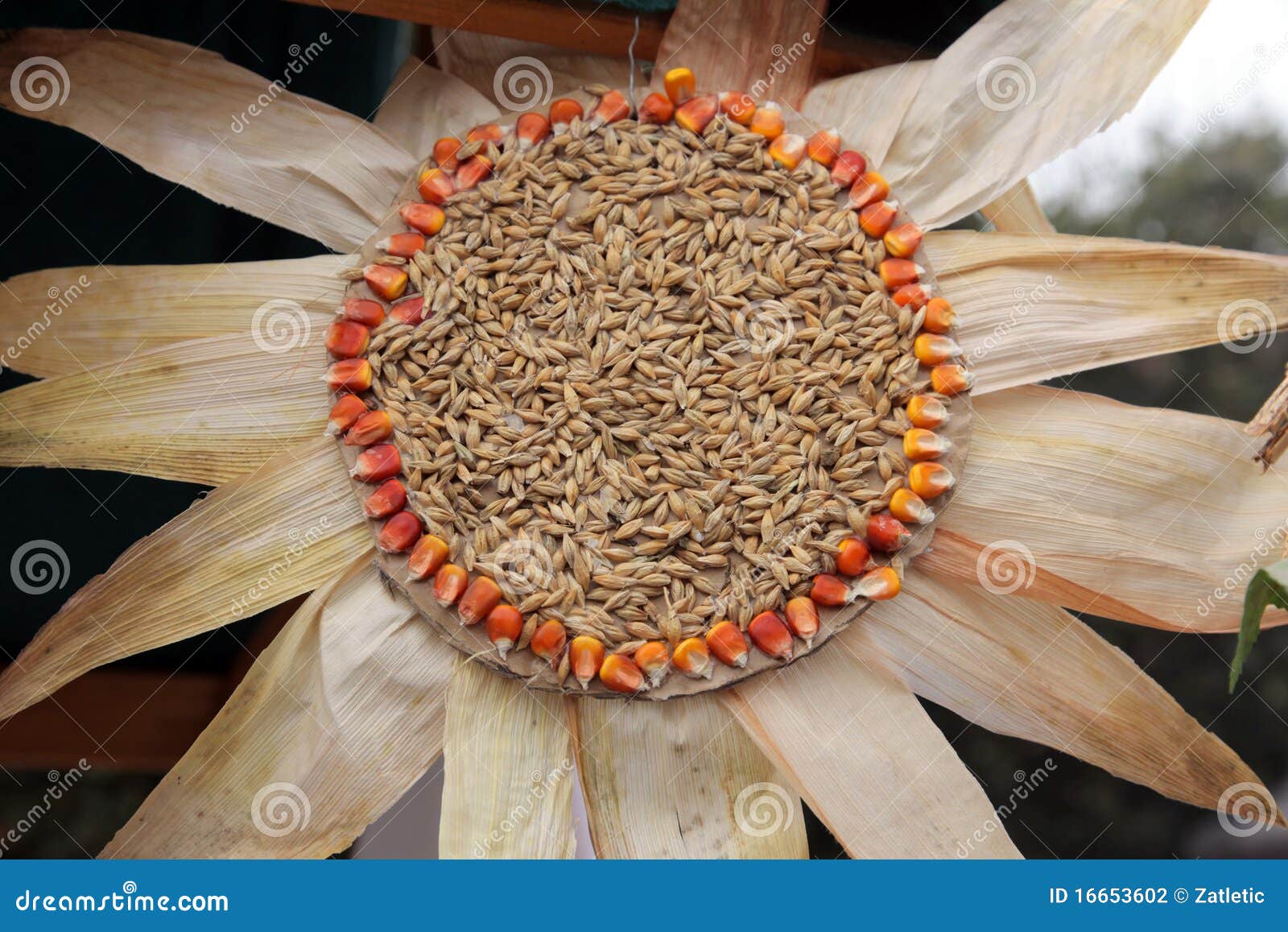 Flowers made of corn stock photo. Image of healthy, colorful - 16653602