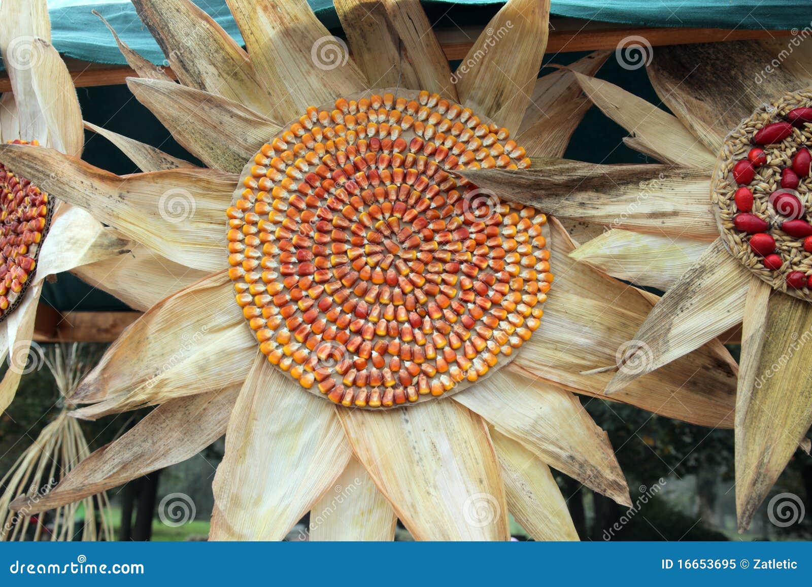 Flowers made of corn stock image. Image of fresh, gold - 16653695