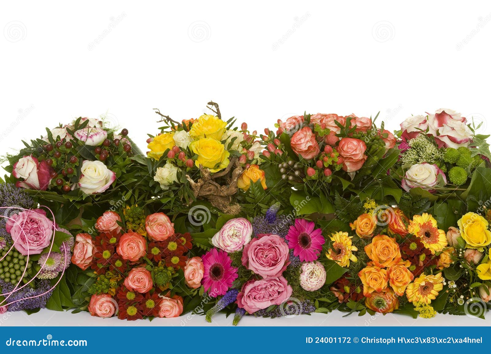 Flowers- Many Flowers on White Background Stock Photo - Image of beauty ...