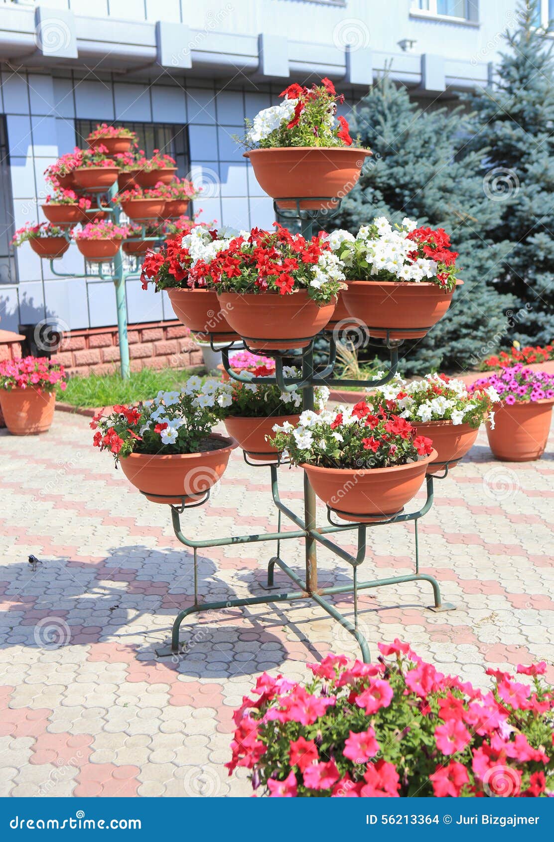 Flowers in Metal Cache-pots Stock Photo - Image of social, cultures ...