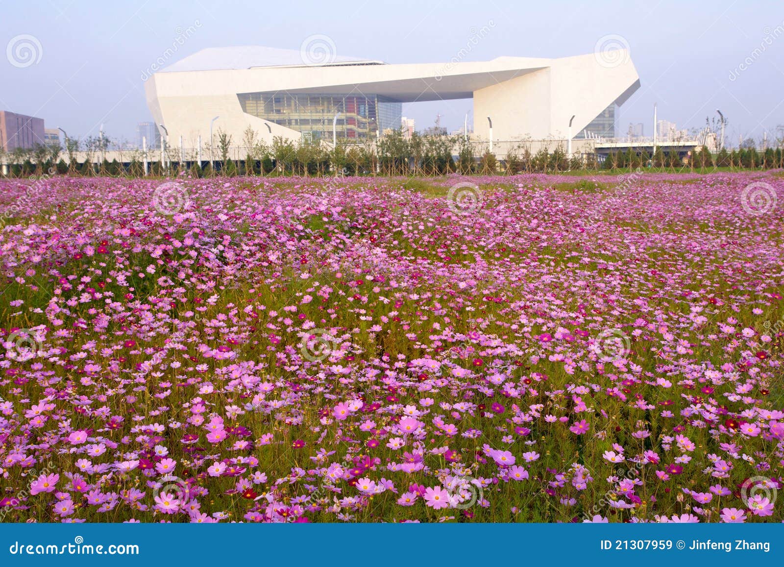 Flowers and Modern Building Stock Image - Image of taiyuan, scenery ...