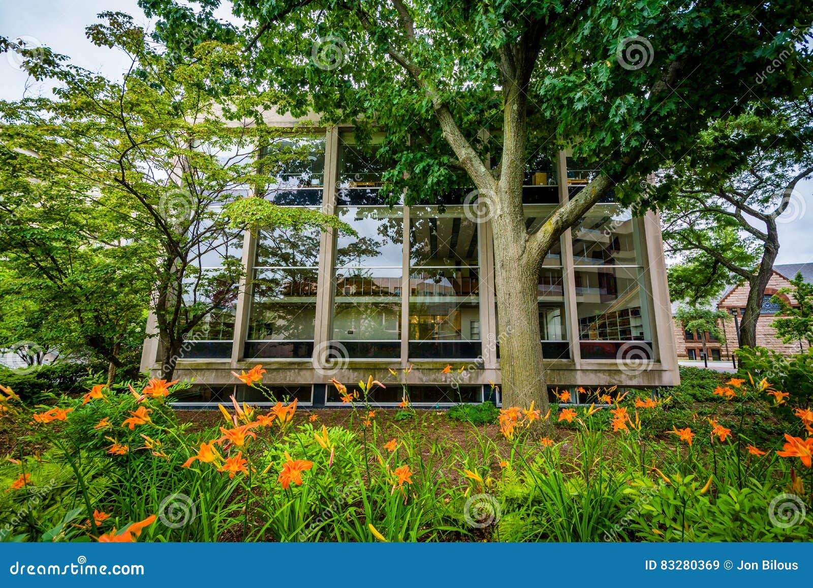 Flowers and Modern Building at Harvard University, in Cambridge ...