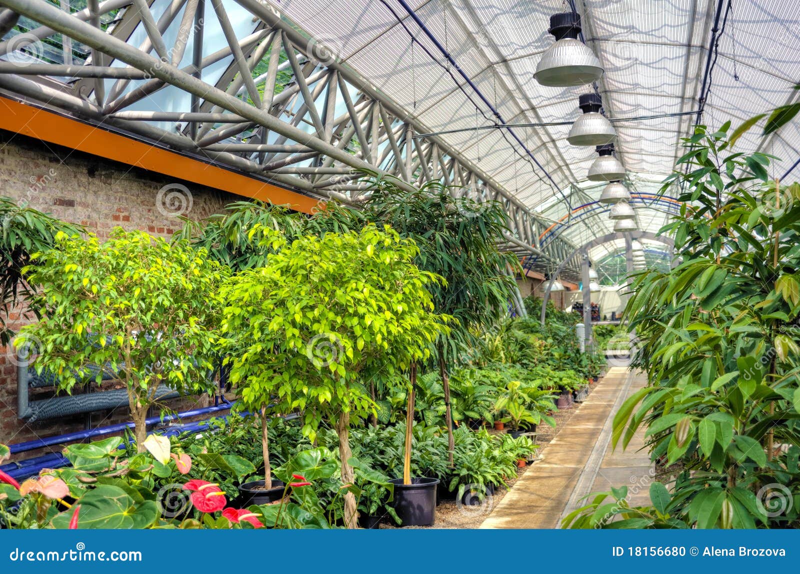 Flowers in Modern Greenhouse Stock Photo - Image of conservatory ...