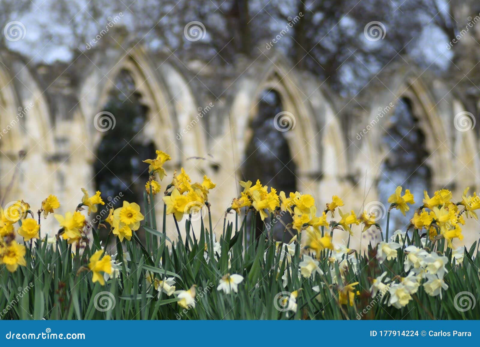 Flowers with a Monastery Background Stock Photo - Image of yellow ...