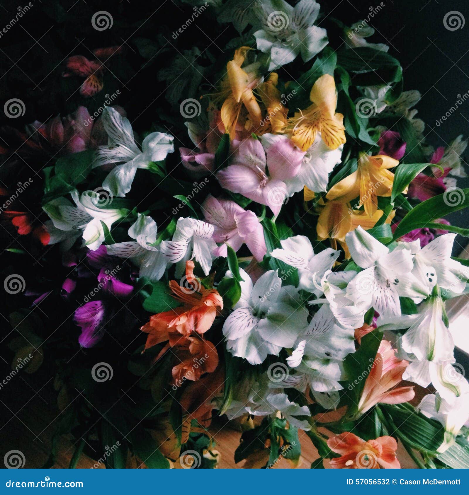 Flowers editorial photography. Image of multi, arrangement - 57056532