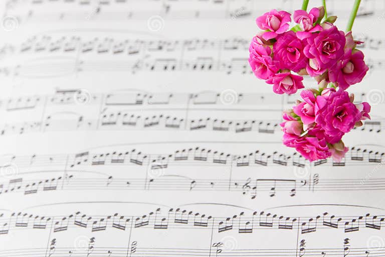 Flowers on Music Notes Sheet, Abstract Art Background . Stock Photo ...