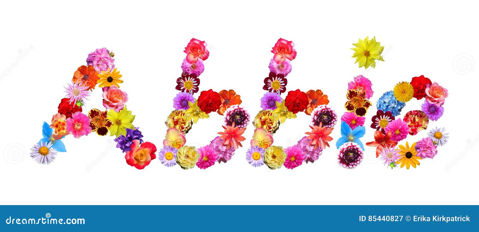 Flowers Name Jenni Royalty-Free Stock Photography | CartoonDealer.com ...