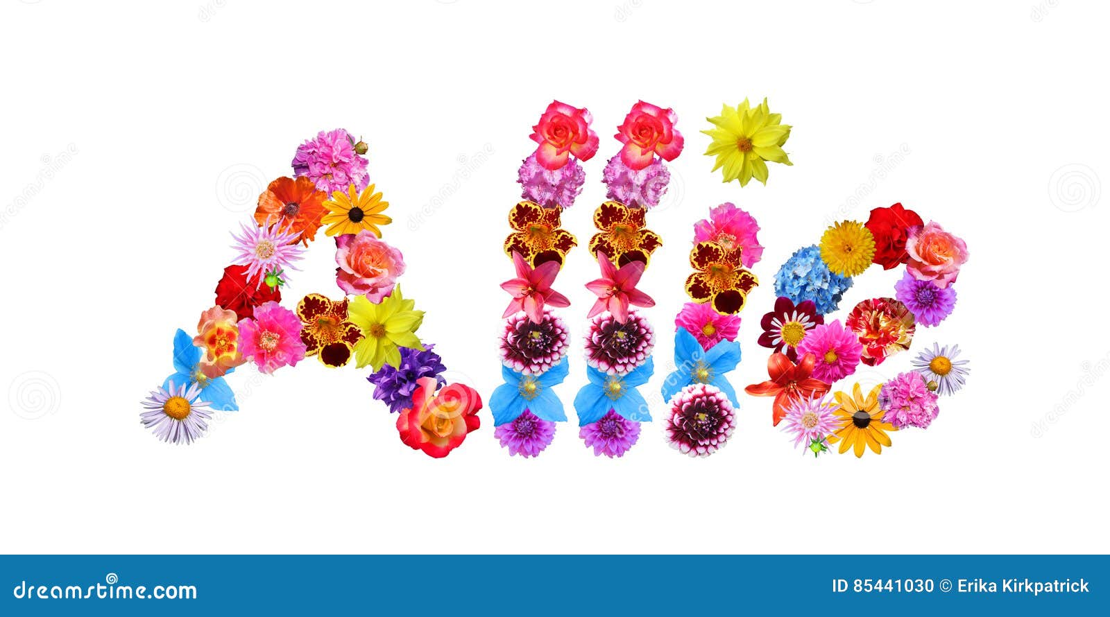 Name Allie Stock Illustrations – 3 Name Allie Stock Illustrations ...