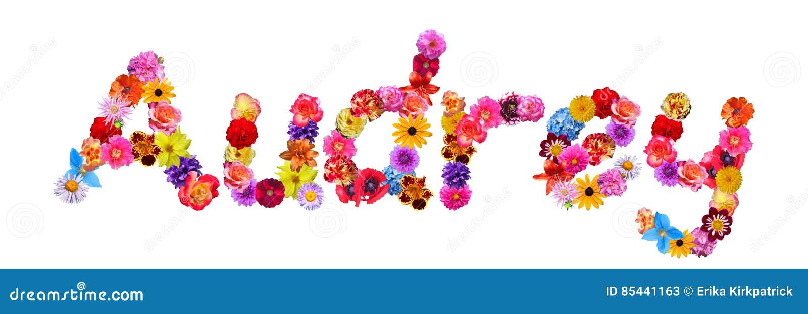 Audrey Name Lettering Tinsels Vector Illustration | CartoonDealer.com ...