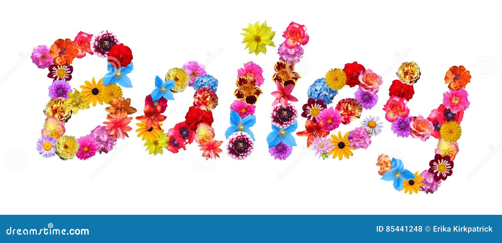 Flowers Name Bailey stock illustration. Illustration of custom - 85441248