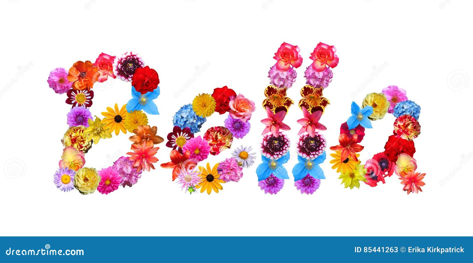 Flowers Name Bella stock illustration. Illustration of floral - 85441263