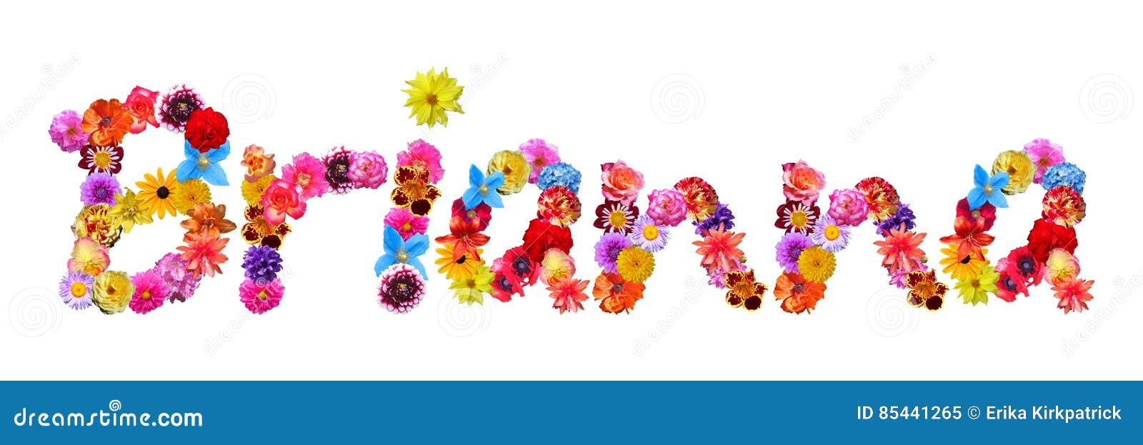 Flowers Name Brianna stock illustration. Illustration of custom - 85441265