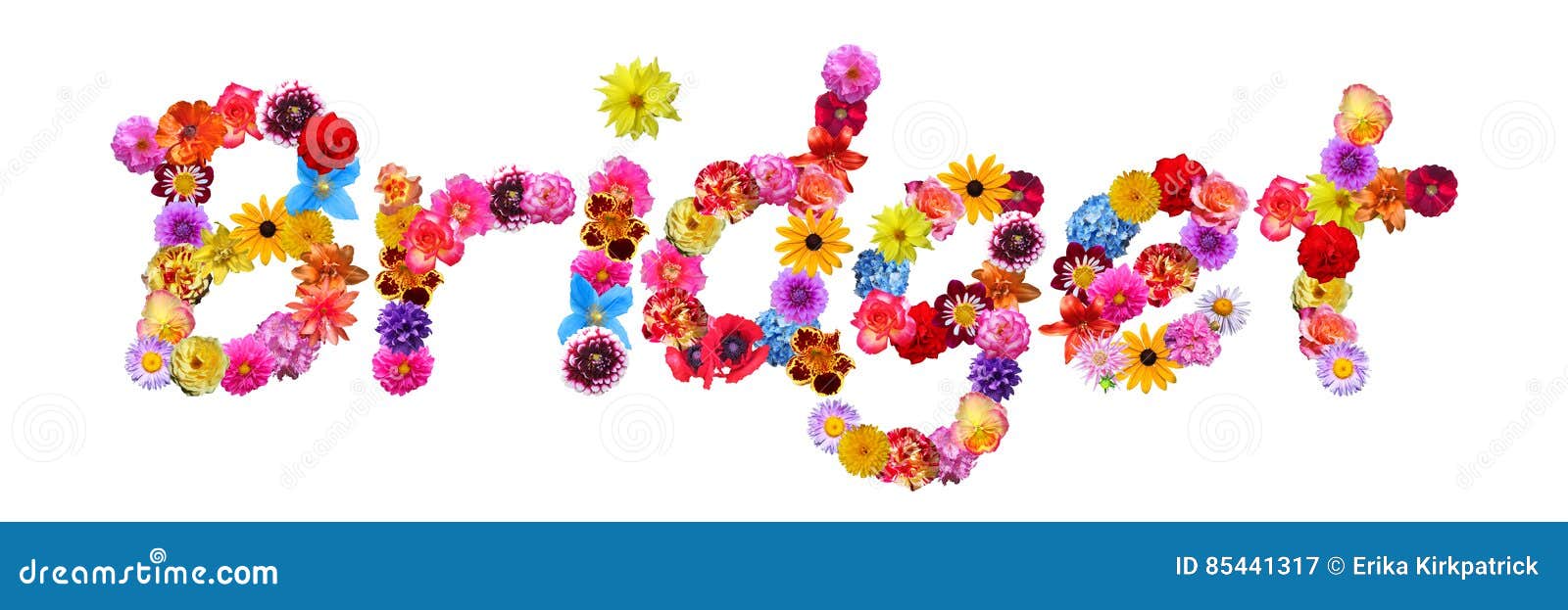 Name Bridget Stock Illustrations – 4 Name Bridget Stock Illustrations ...