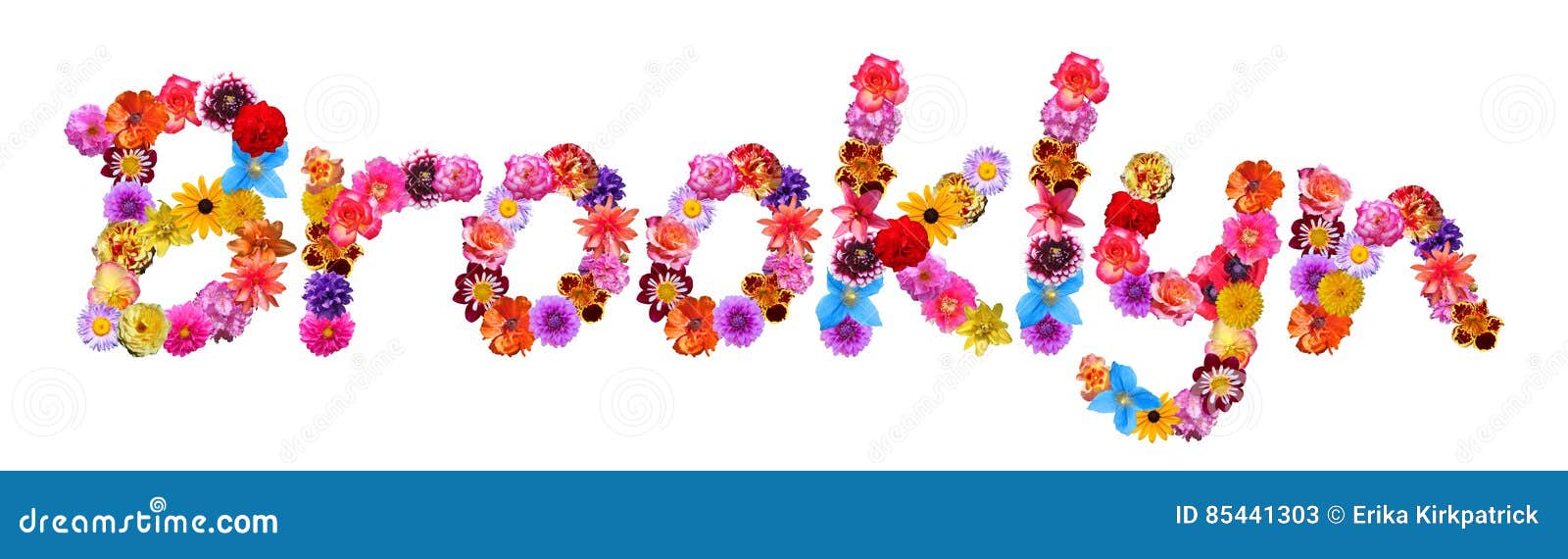 Flowers Name Brooklyn stock illustration. Illustration of blue - 85441303