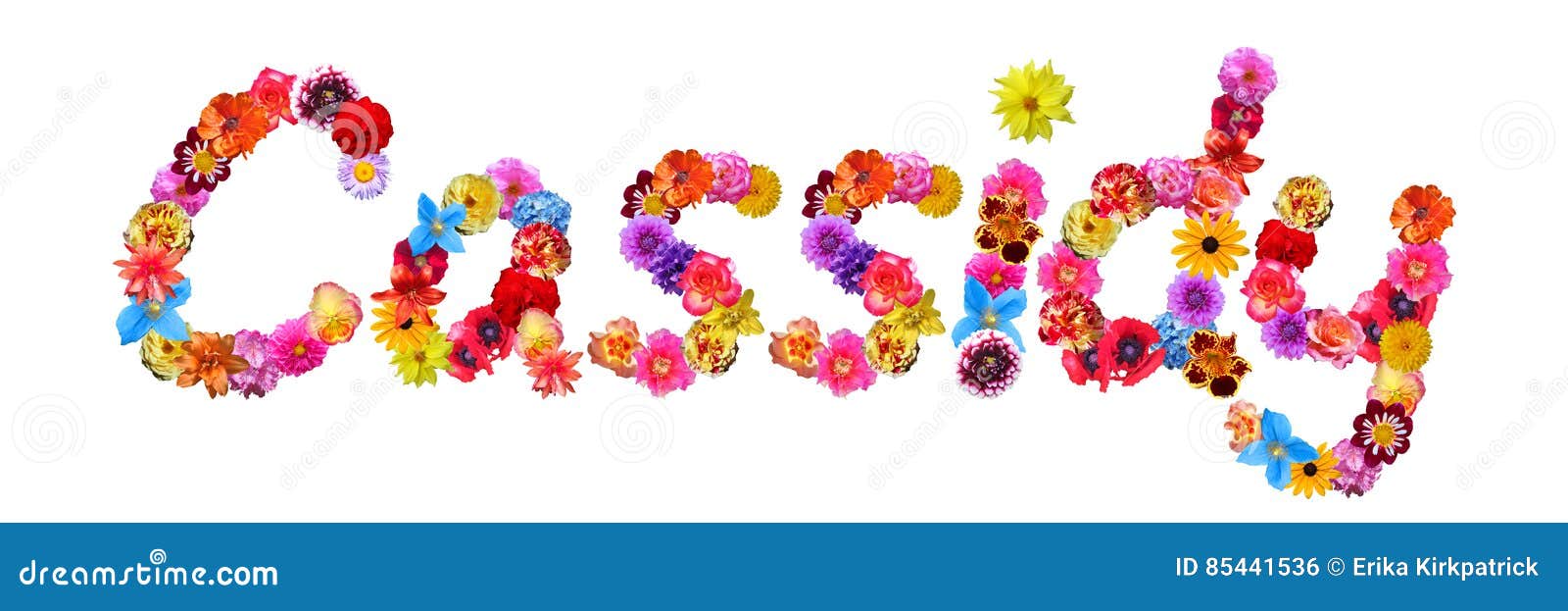 Flowers Name Cassidy stock illustration. Illustration of colorful ...