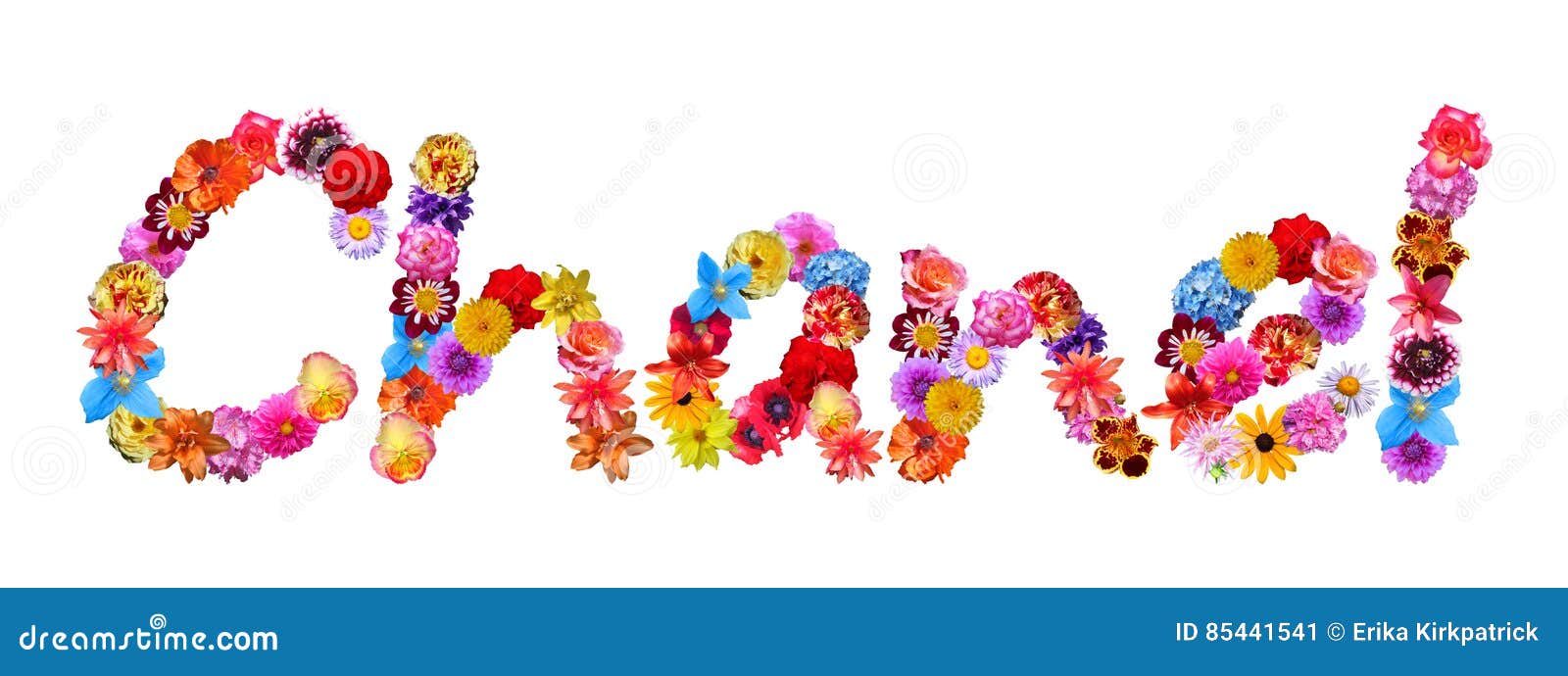 Flowers Name Chanel stock illustration. Illustration of colorful - 85441541