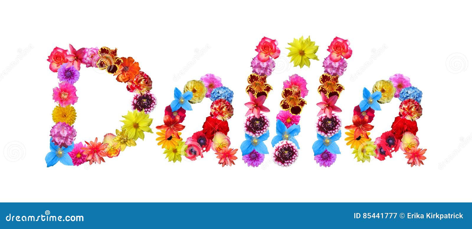 Flowers Name Dalila stock illustration. Illustration of isolated - 85441777