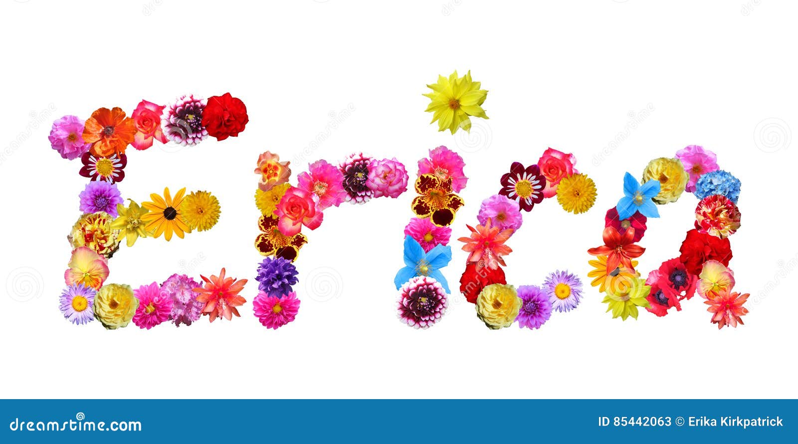 Flowers Name Erica stock illustration. Illustration of blue - 85442063