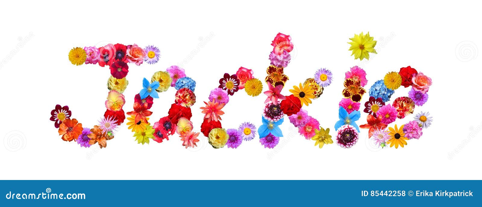 Flowers Name Jackie stock illustration. Illustration of floral - 85442258