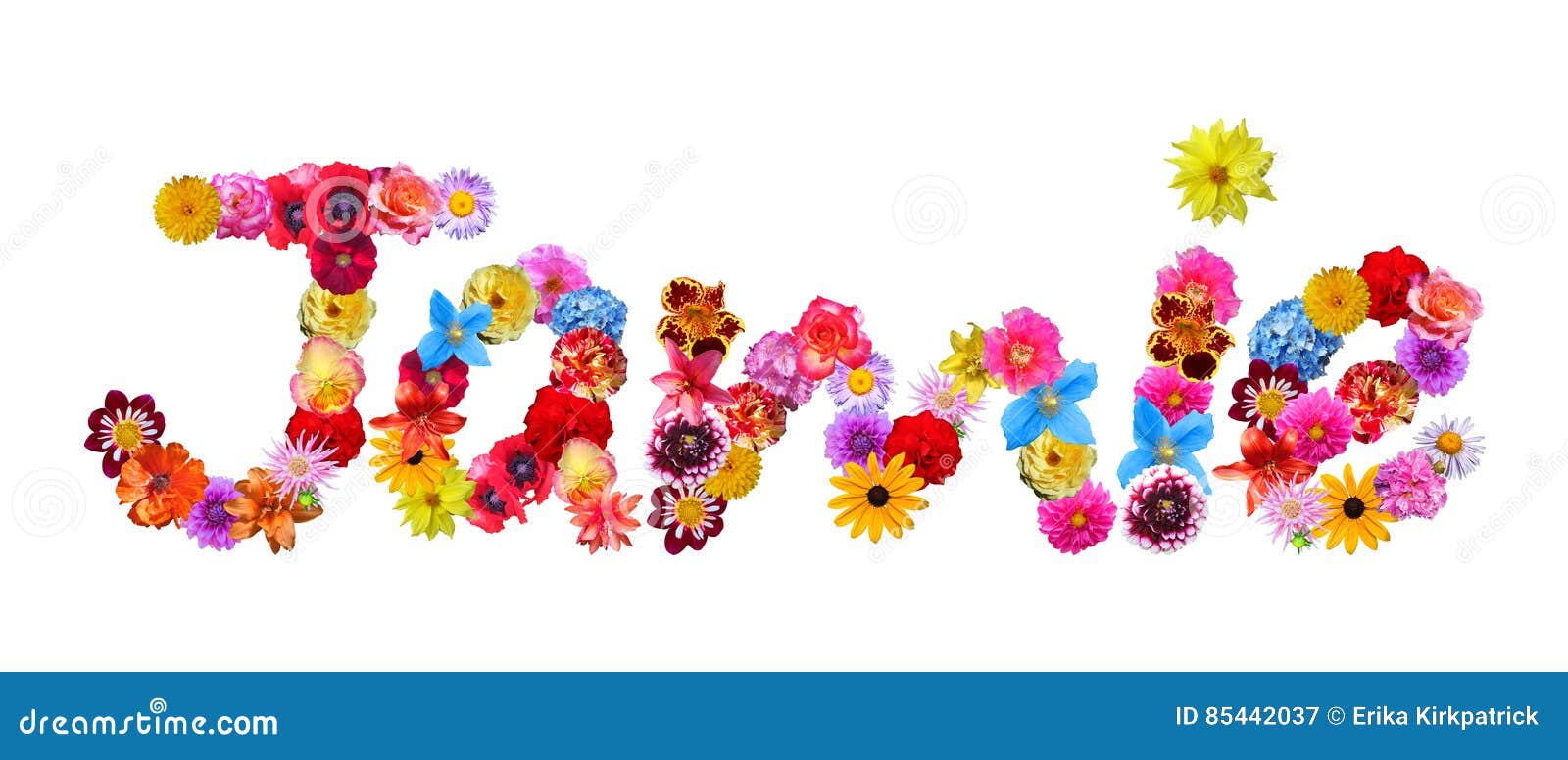 Jamie Cartoons, Illustrations & Vector Stock Images - 304 Pictures to ...