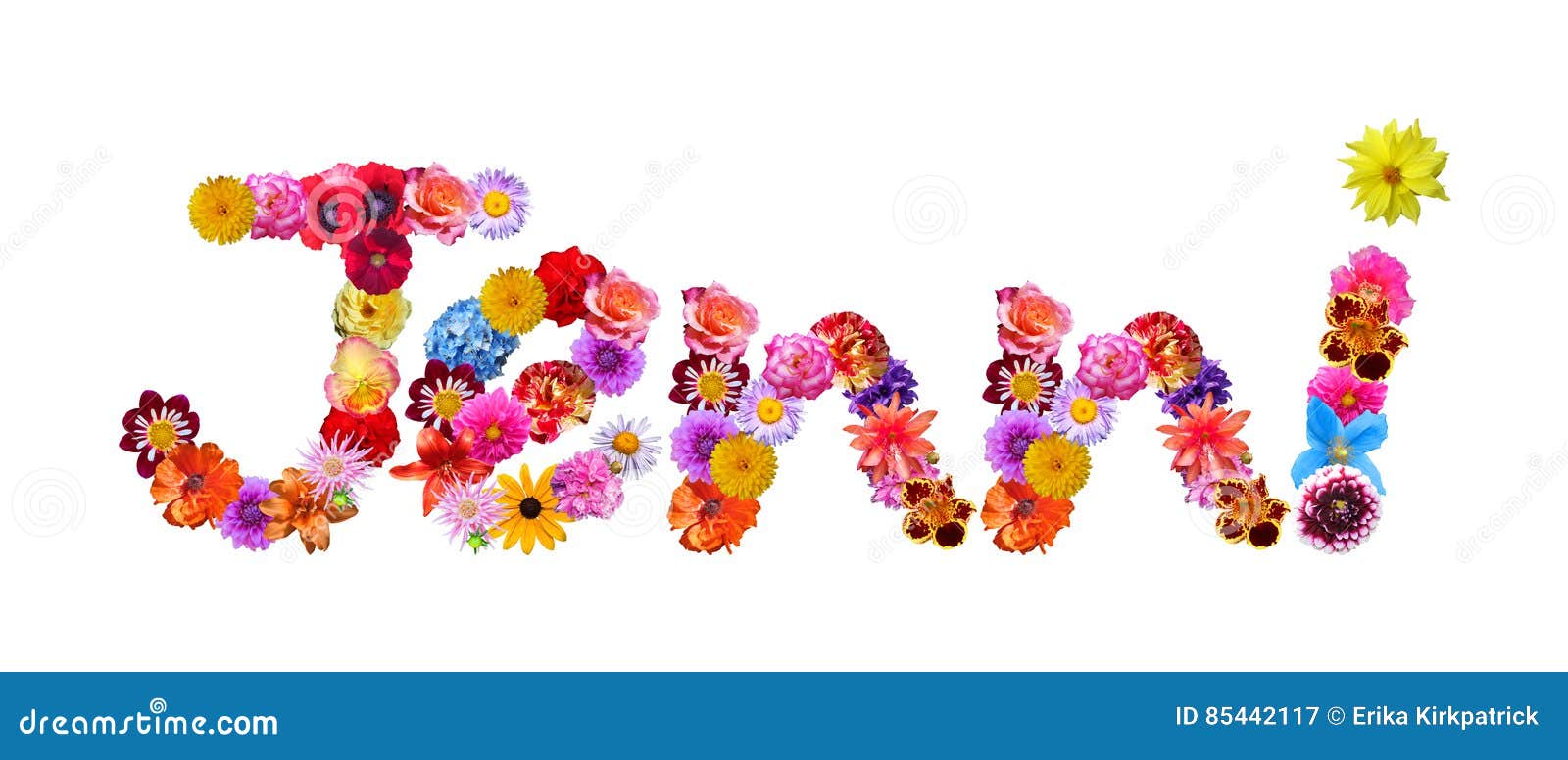 Flowers Name Jenni stock illustration. Illustration of customize - 85442117