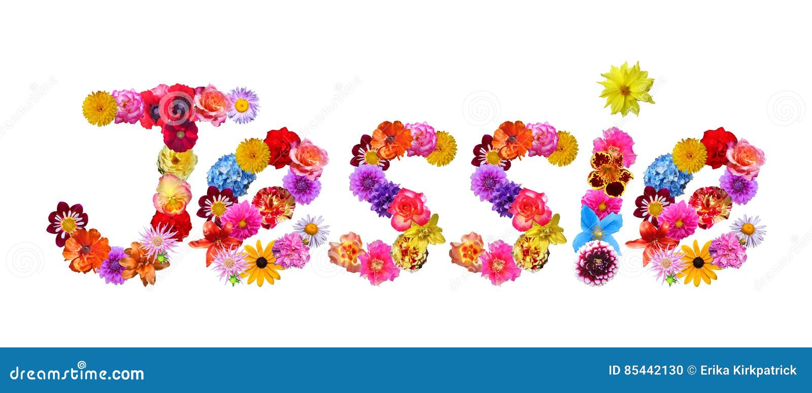 Name Jessie Stock Illustrations – 3 Name Jessie Stock Illustrations ...