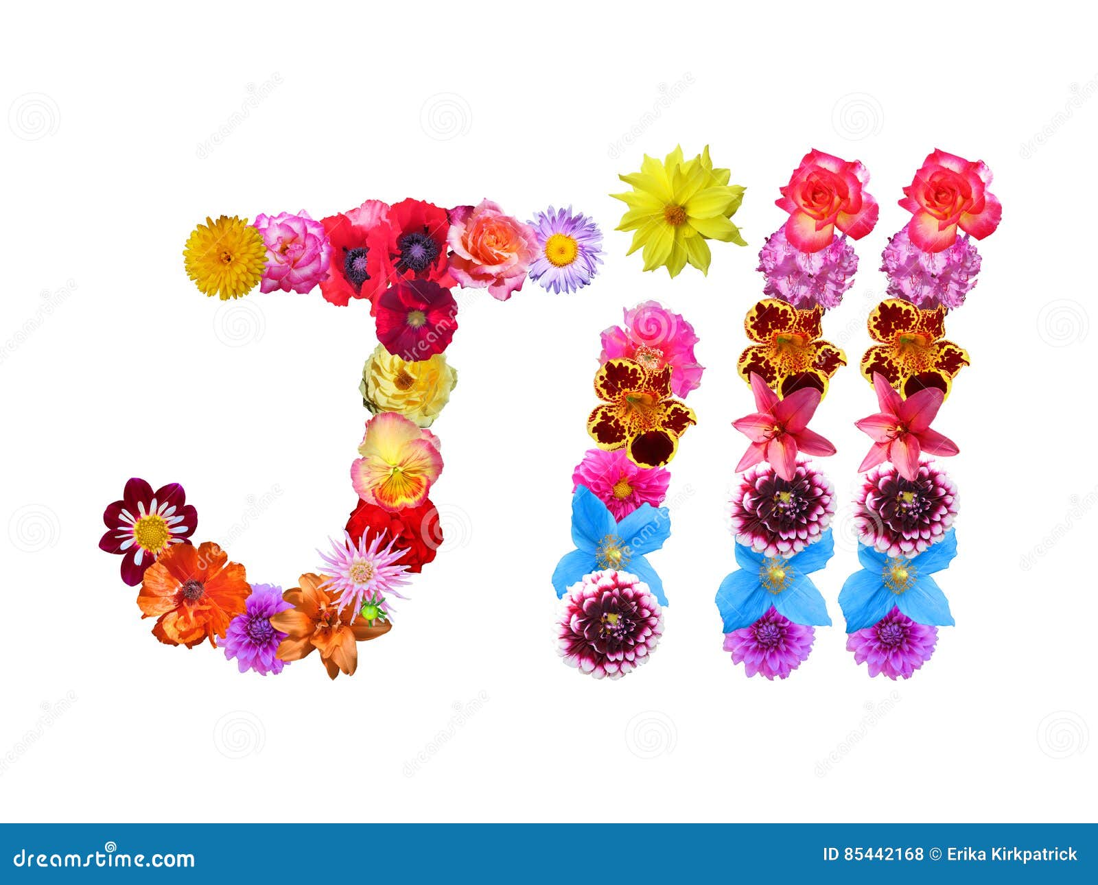 Flowers Name Jill stock illustration. Illustration of card - 85442168