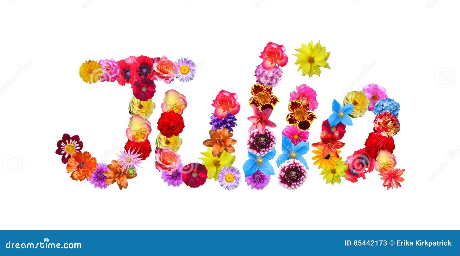 Julia Name Card With Lovely Pink Roses. Vector Illustration ...