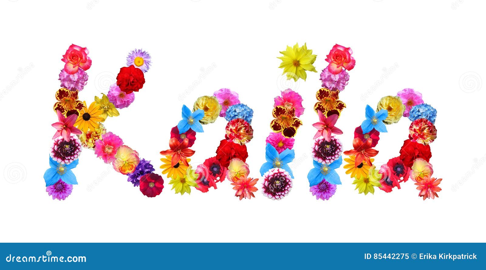Flowers Name Kaila stock illustration. Illustration of leaf - 85442275